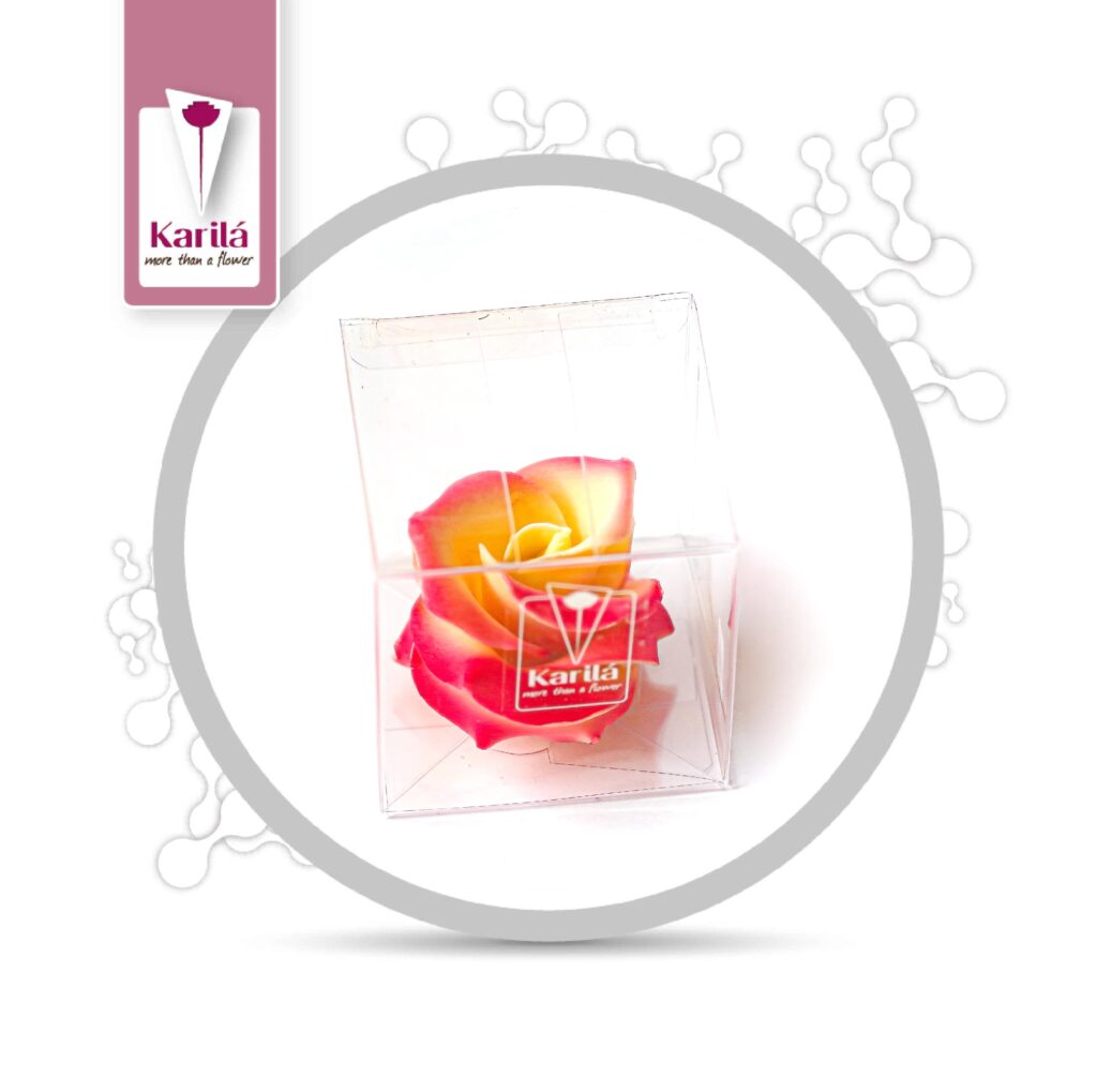 chocolate flowers - flower Stone - Karila